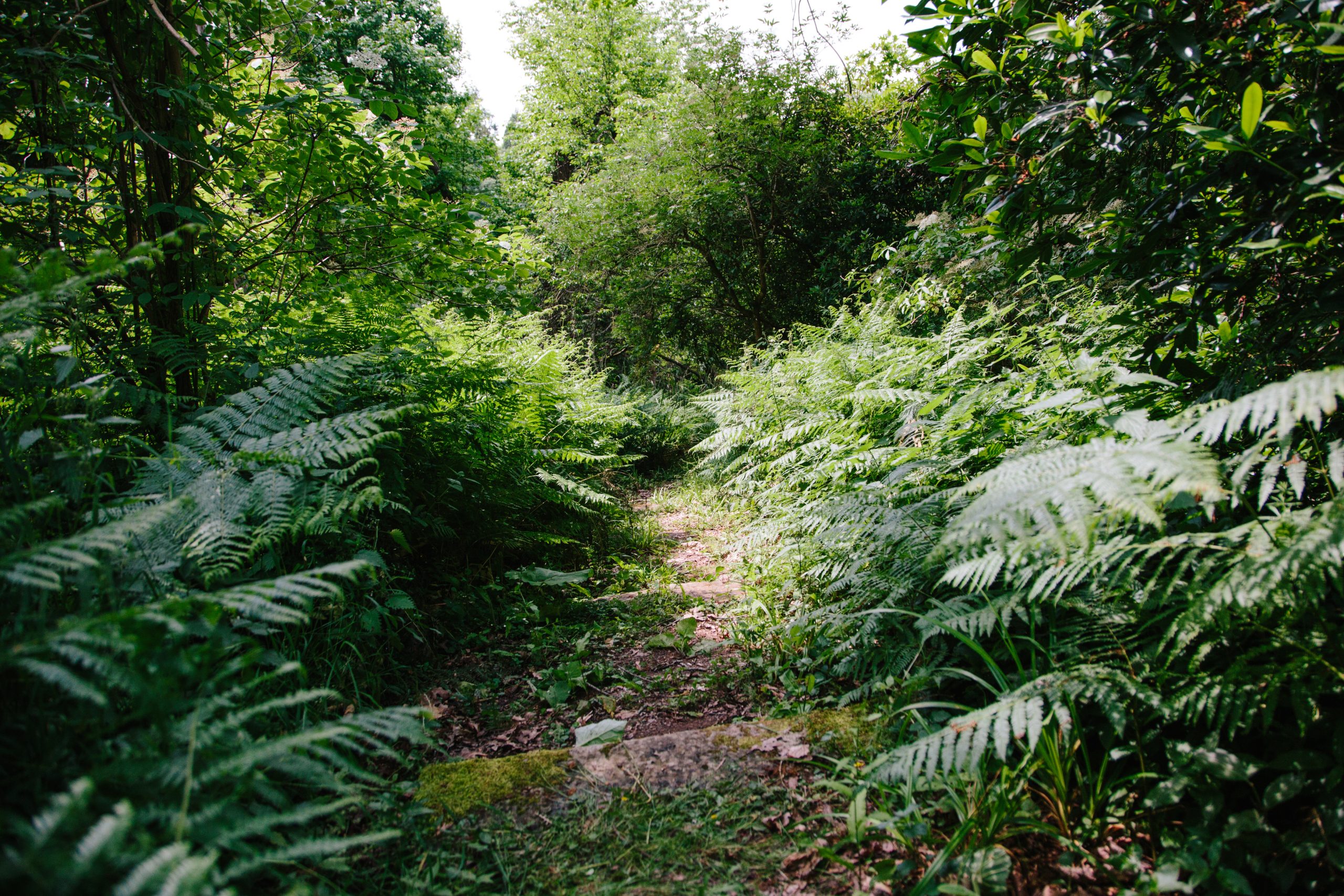 A poem to share - Tortworth Arboretum
